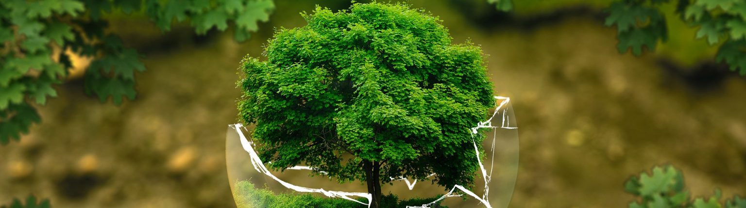 ISO 14001 Certification – TCH Global Certification